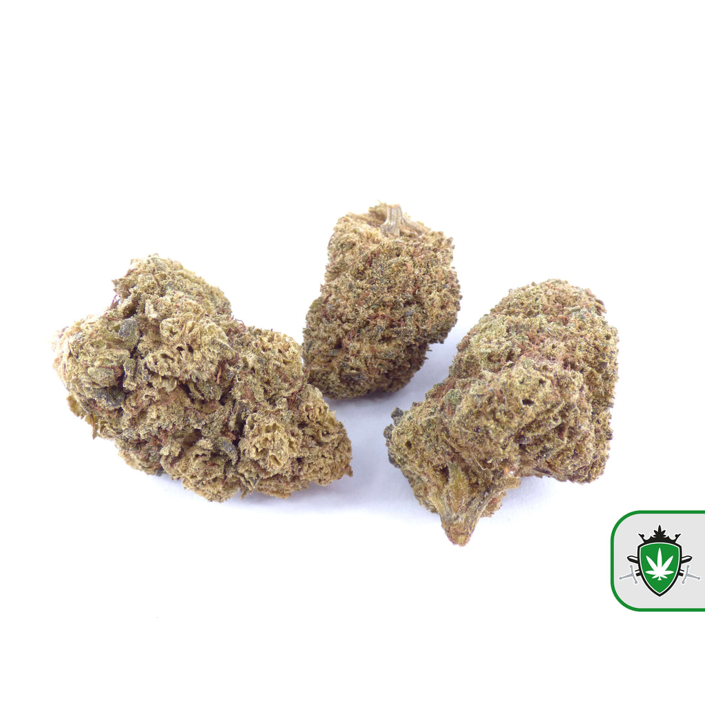 Purple Haze CBD Wiet - CBD Koning - CBD Wiet Kopen | CBD Koning